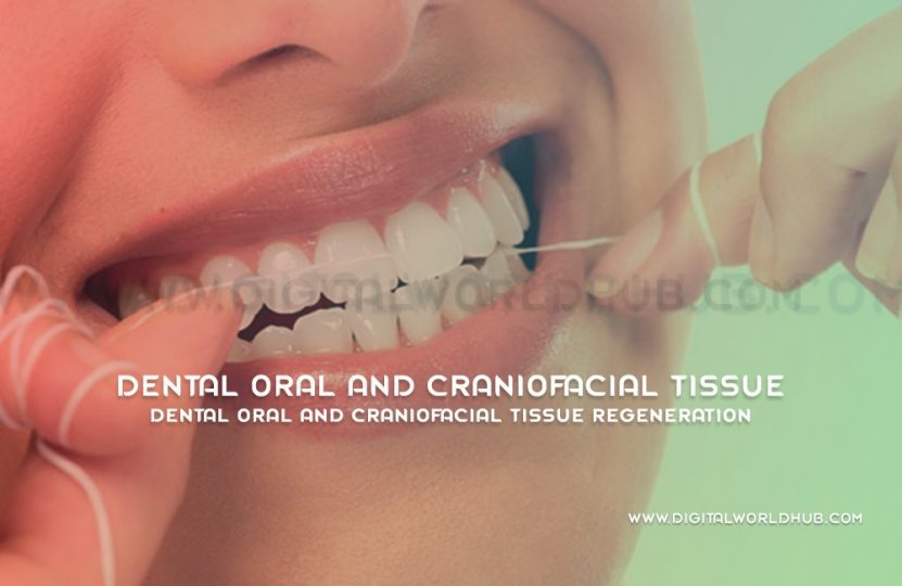 Dental Oral And Craniofacial Tissue Regeneration | Digital World Hub