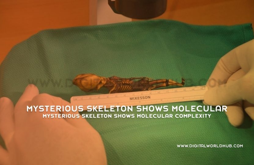 Mysterious Skeleton Shows Molecular Complexity | Digital World Hub